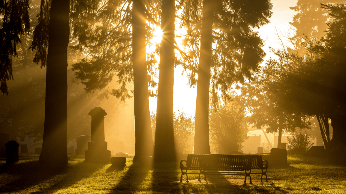 How Can a Good God Let Bad Things Happen? – jess leigh hanna